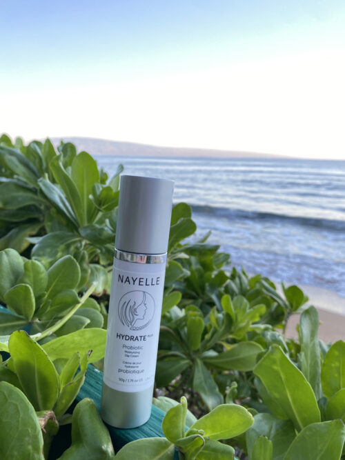 HYDRATE Probiotic Moisturizing Day Cream